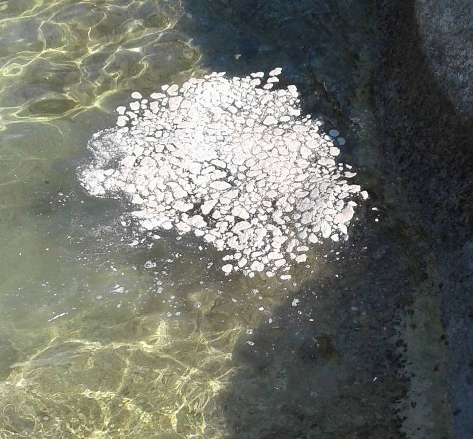 More slime; ERA invites public to report