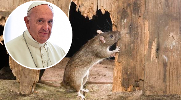 A dishonest government dirties opponents with slander - Pope Francis