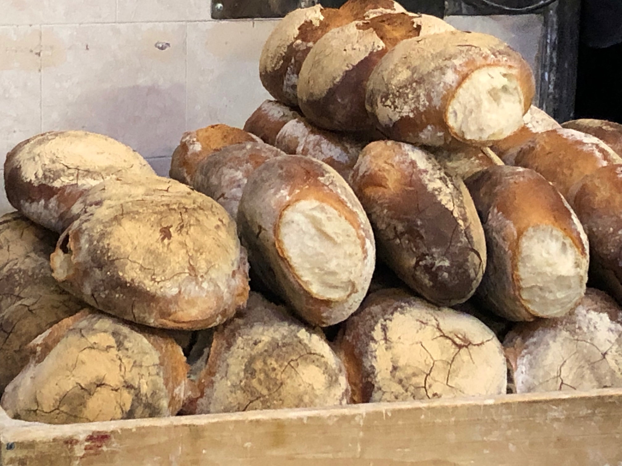 Watch: The wonder of Maltese Bread - Newsbook