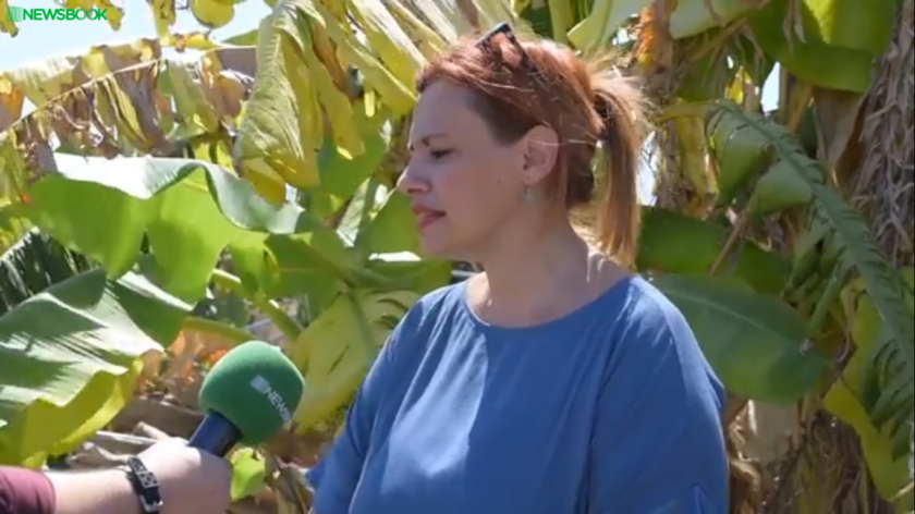 Filmat: Central Link: "Is-siġar jgħinuna psikoloġikament" - psikologa ...