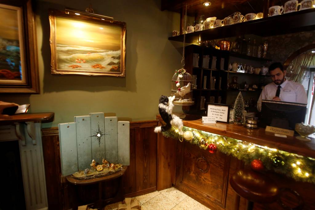 Banksy's 'Scar of Bethlehem' nativity unveiled in West Bank hotel