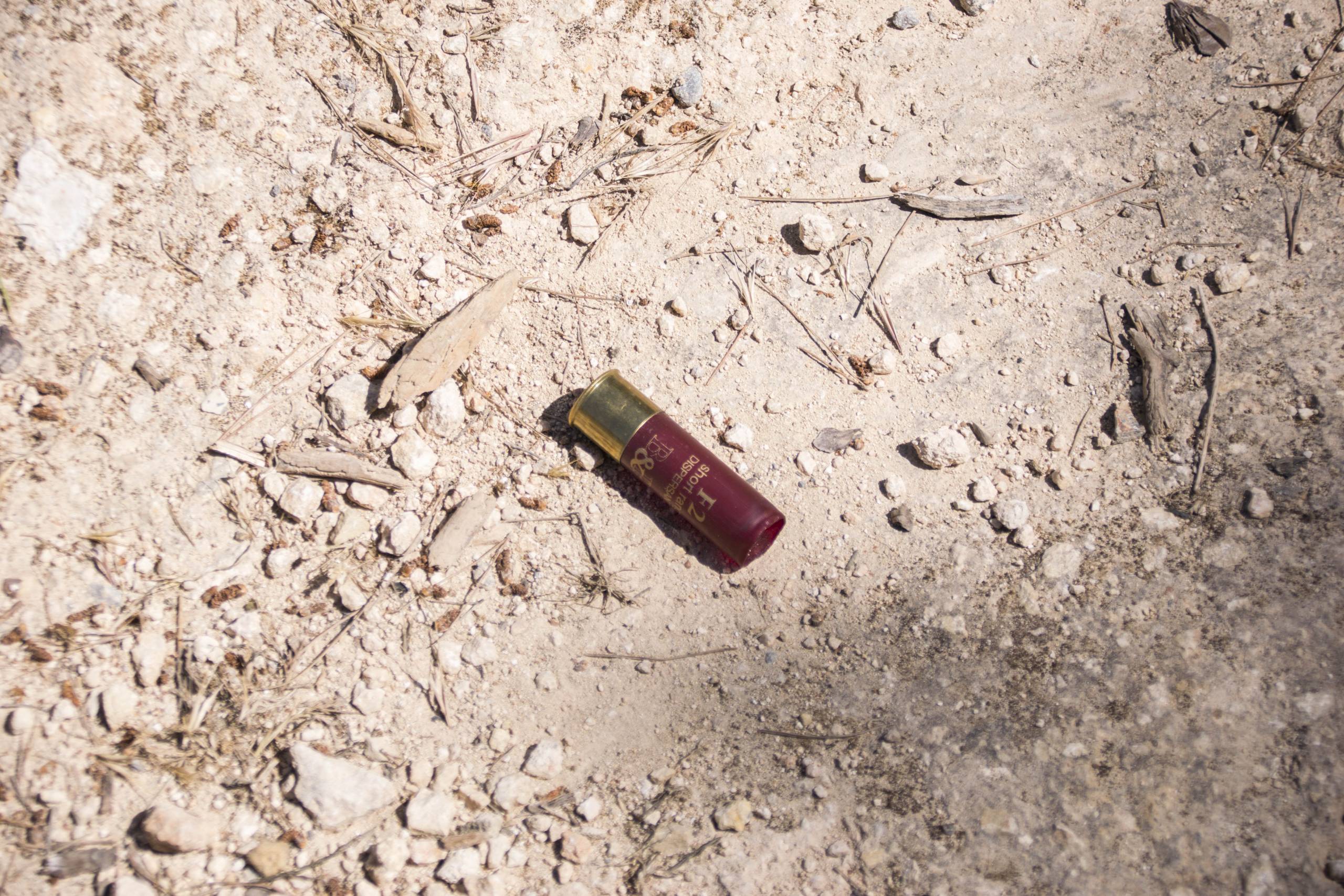 "Il-PM jisfida lill-UE fuq il-kaċċa" - Birdlife - Newsbook