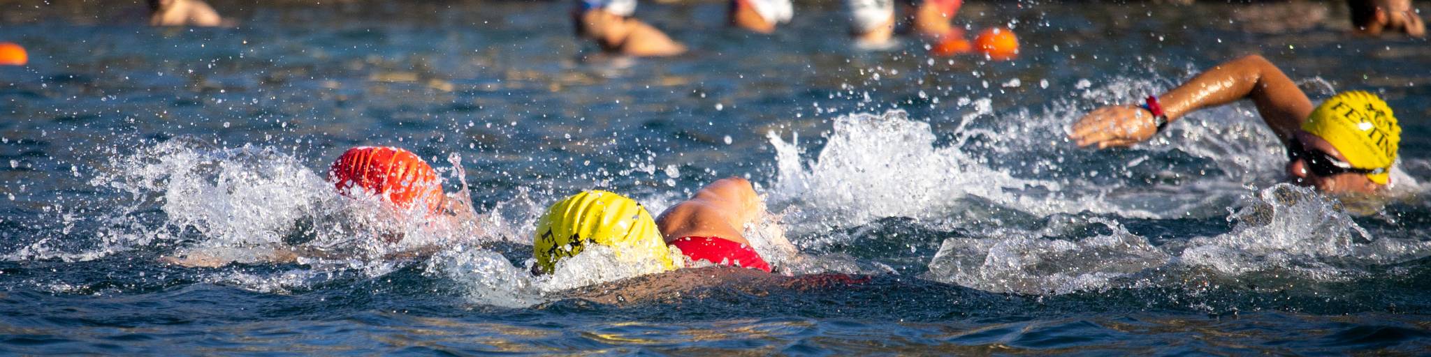 Watch: Open swimming: Camilleri, Demicoli on top of respective categories