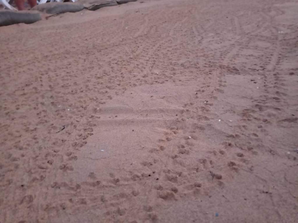 Fkieren ifaqqsu fil-Bajja tal-Mixquqa - Newsbook