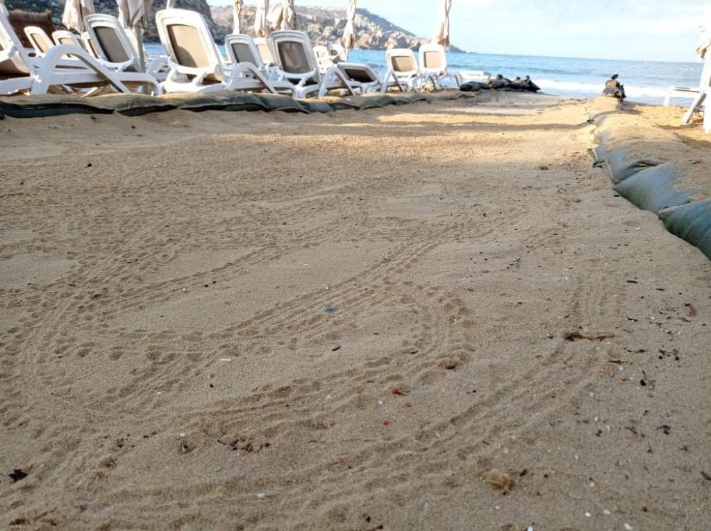 Fkieren ifaqqsu fil-Bajja tal-Mixquqa - Newsbook