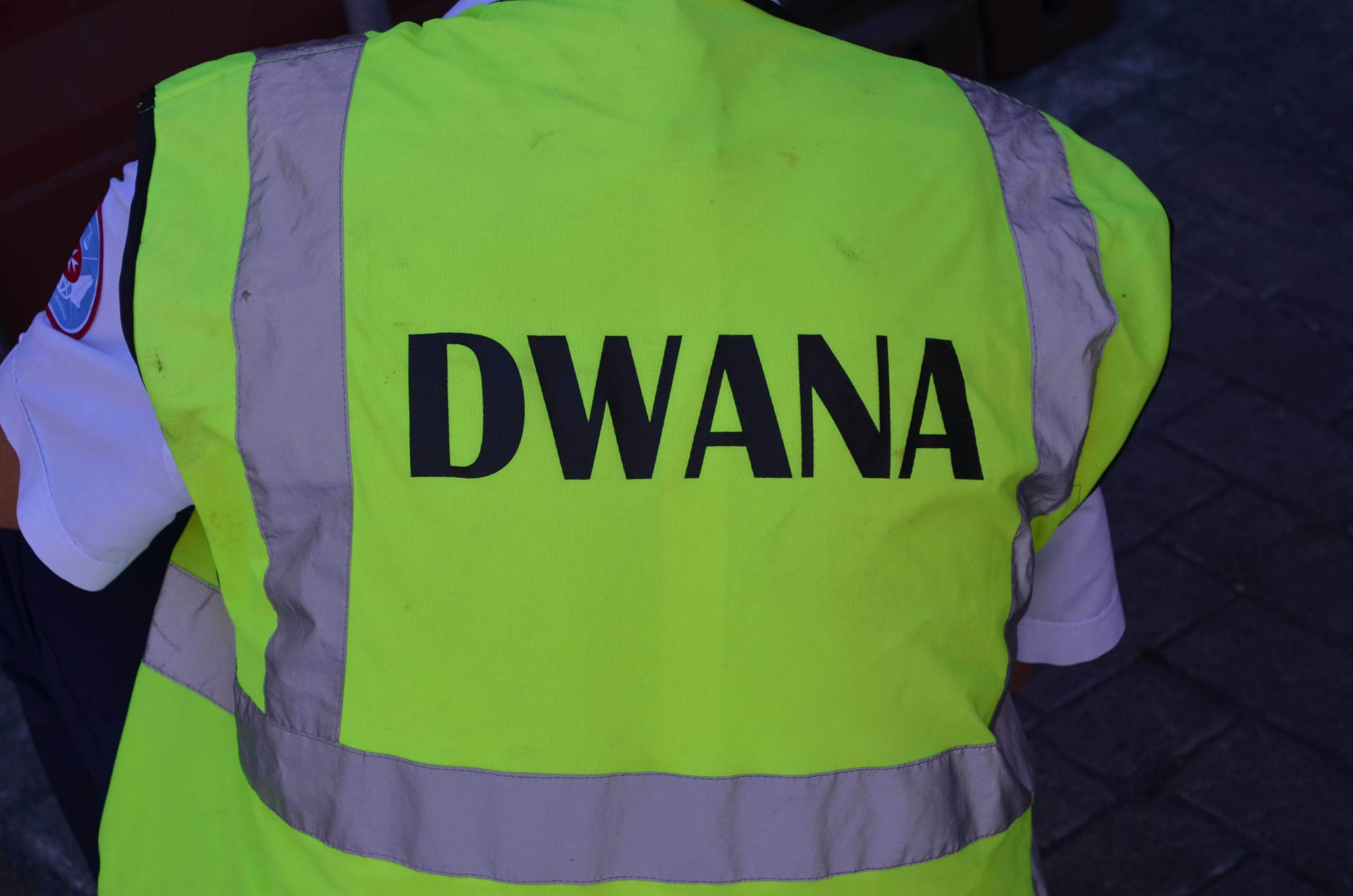 Undeclared cash discovered by a sniffer dog at MIA - Newsbook