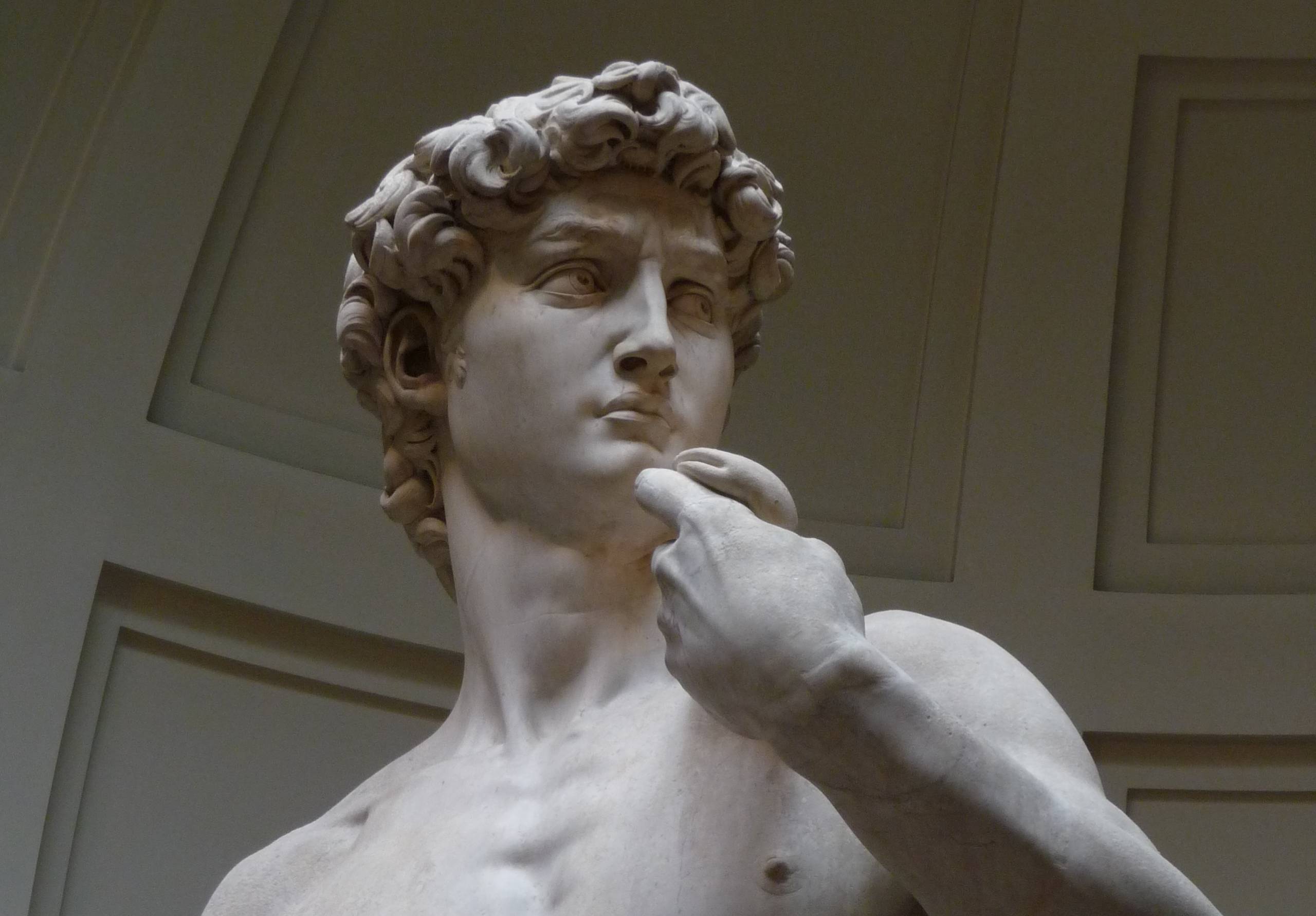 Michelangelo: paper, stone & flesh