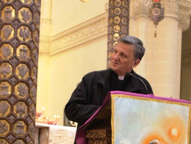 Cardinal Grech discusses Pope’s ground-breaking project - Newsbook