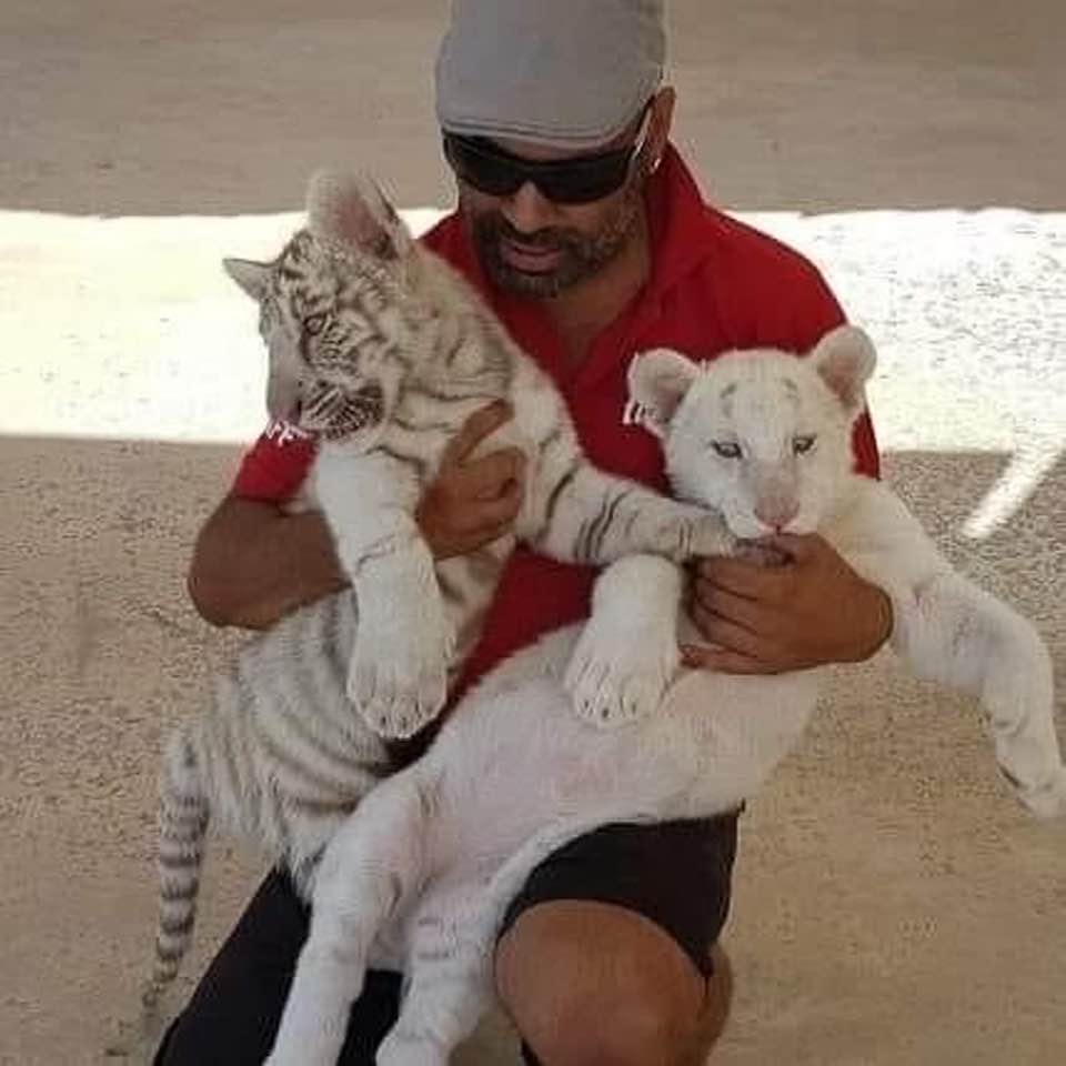 Police to take action against zookeeper after threat to Animal Welfare ...