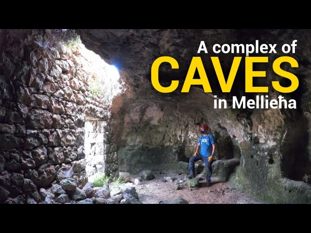 Watch: Discovering Għar il-Friefet cave... and more
