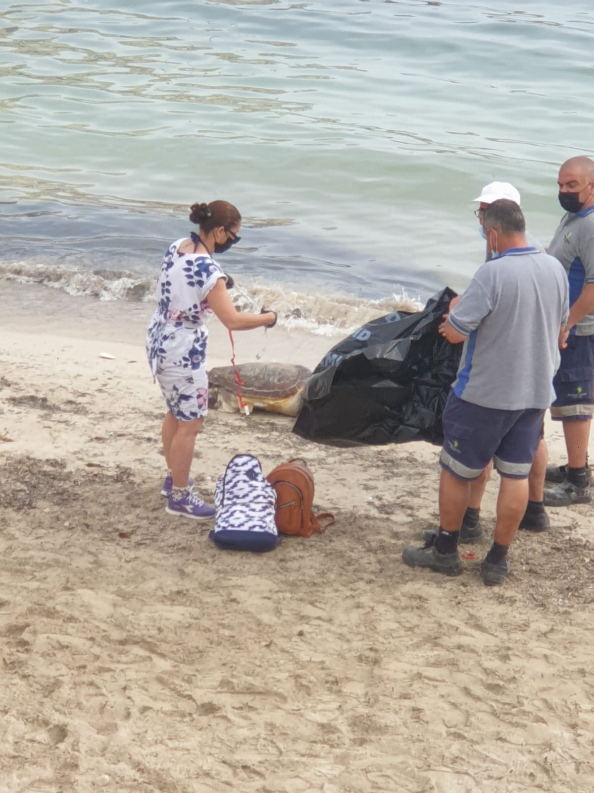 Filmat: Fekruna mejta tiddaħħal max-xatt tal-Balluta - Newsbook
