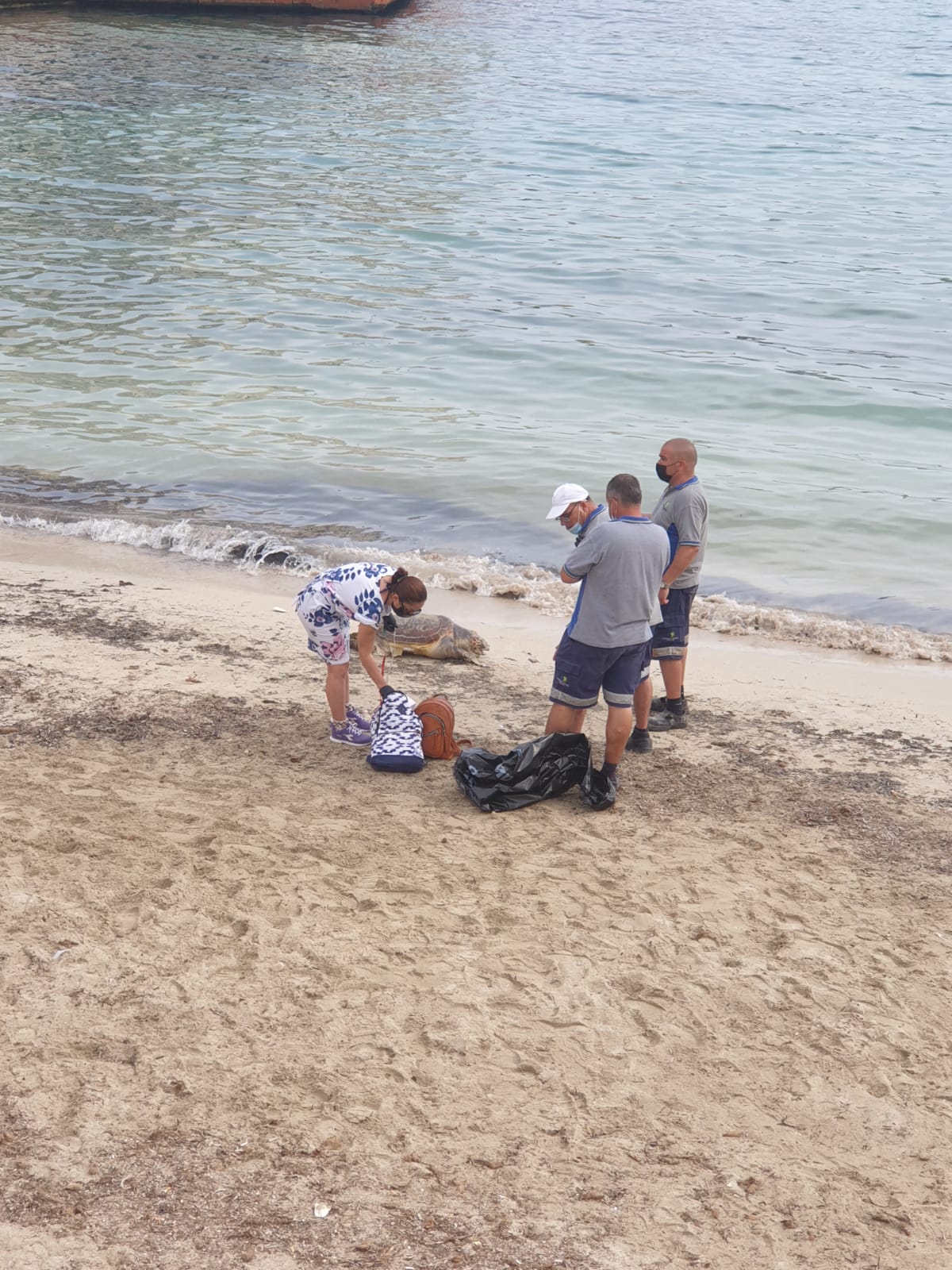 Filmat: Fekruna mejta tiddaħħal max-xatt tal-Balluta - Newsbook