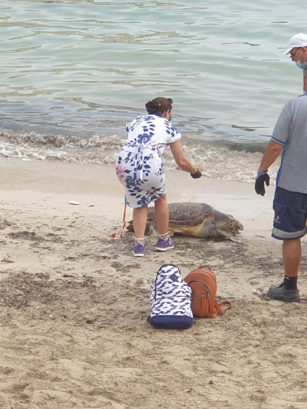 Filmat: Fekruna mejta tiddaħħal max-xatt tal-Balluta - Newsbook
