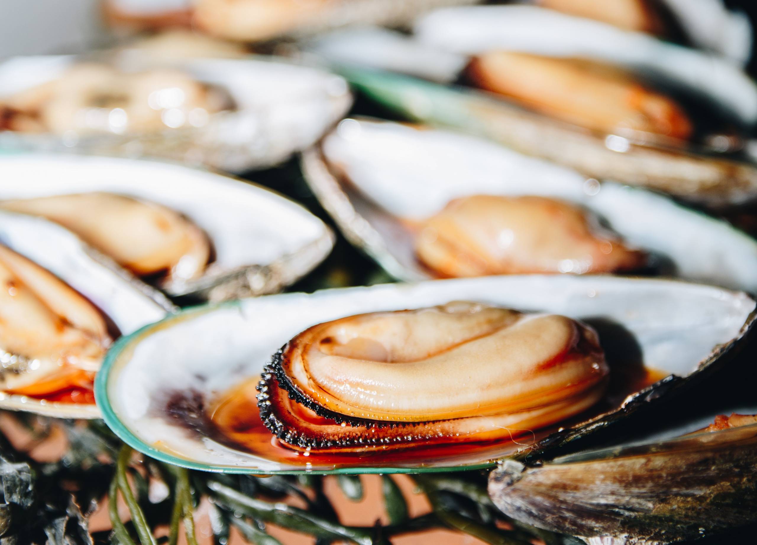 Mussels il-forn