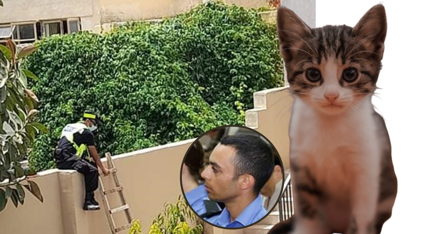 Pulizija jsalva qattus fil-Mellieħa - Newsbook