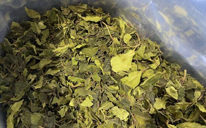 Customs intercept 113 kilogrammes of khat