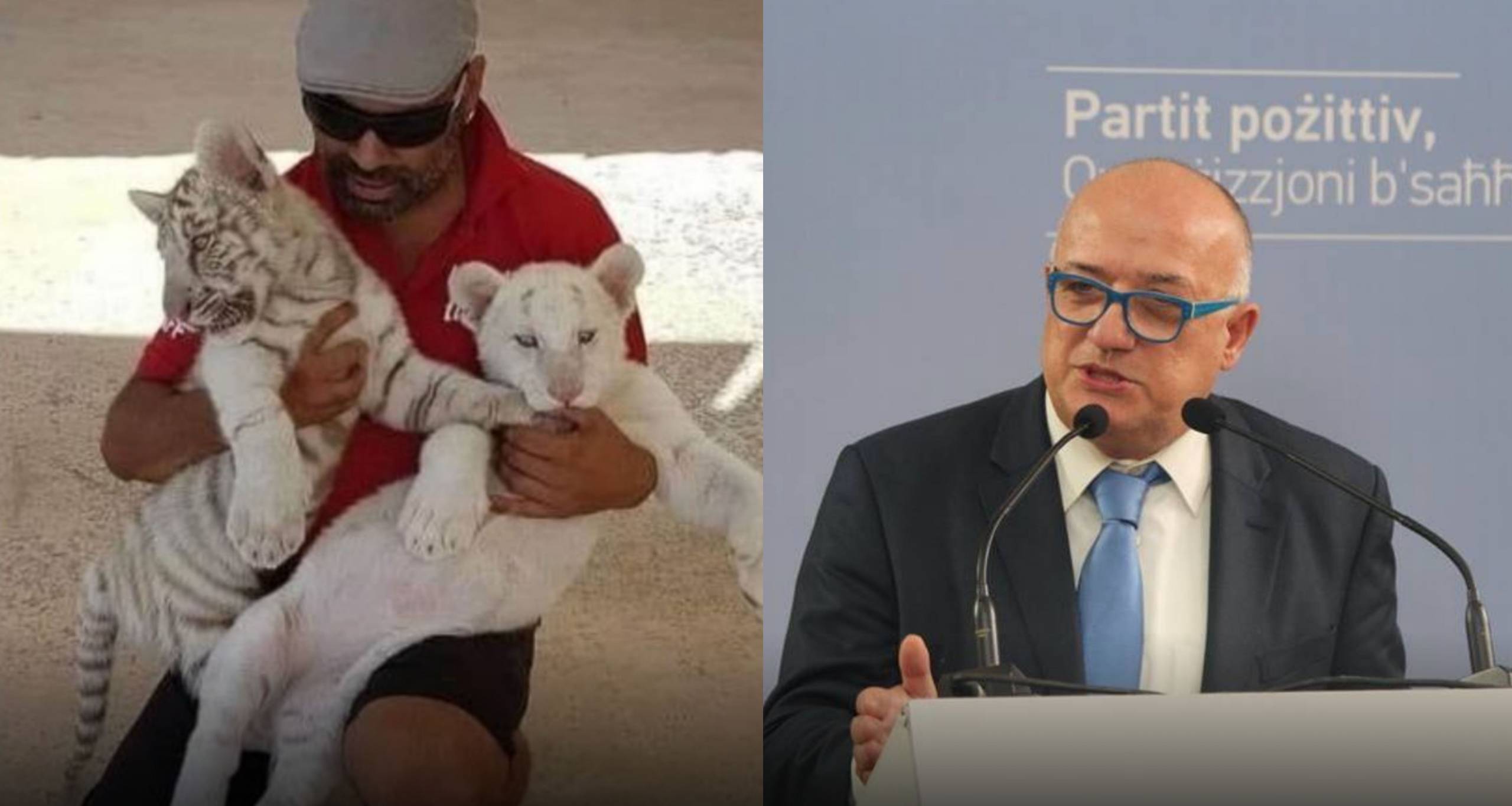 Zookeeper attacks Opposition MP for urging boycott on zoos - Newsbook