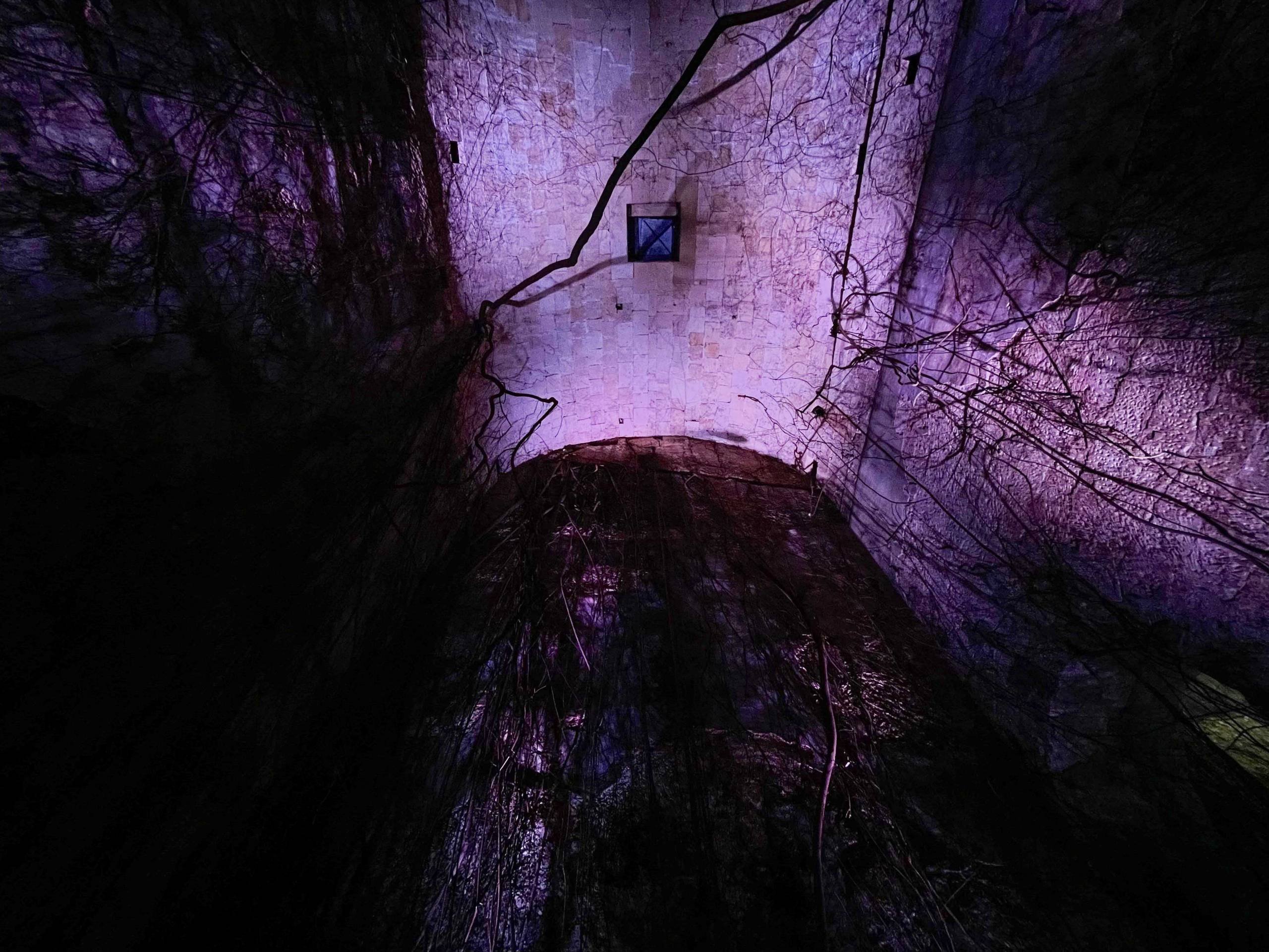 Explore Valletta like you’ve never seen it before - Newsbook