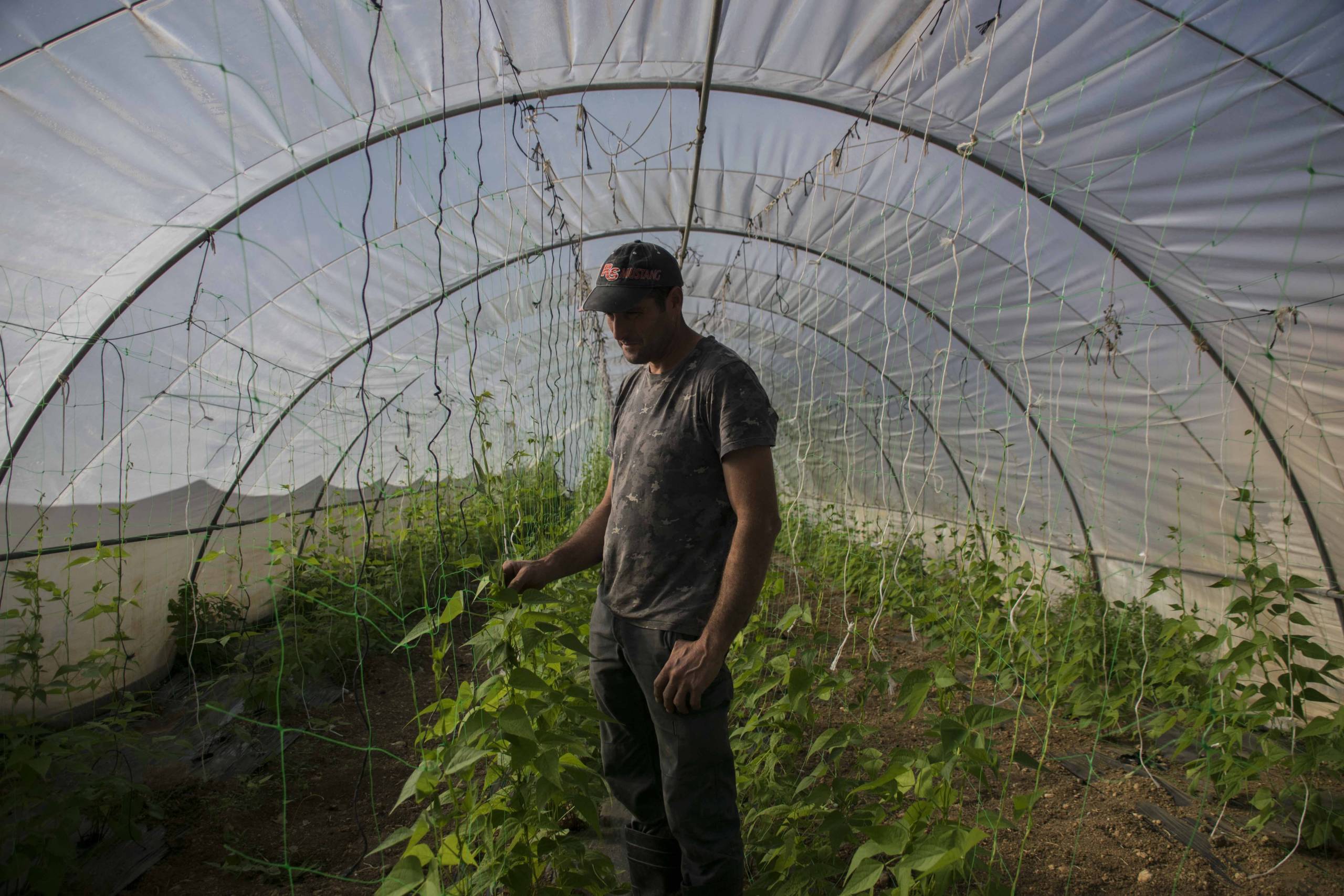 Maltese farmers face €2,700 income gap per hectare compared to Italians ...