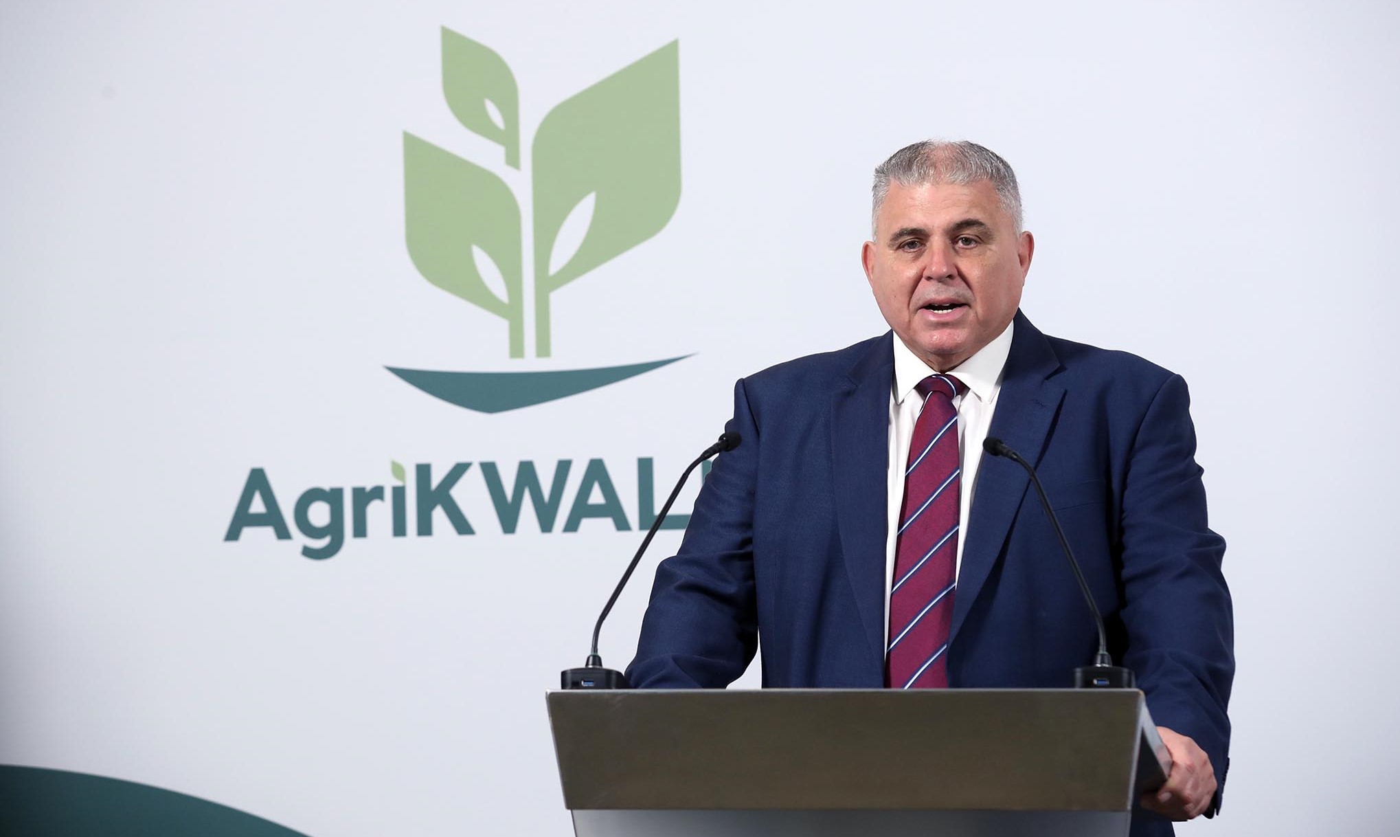 Anton Refalo questioned by police over British-era artefact in his ...