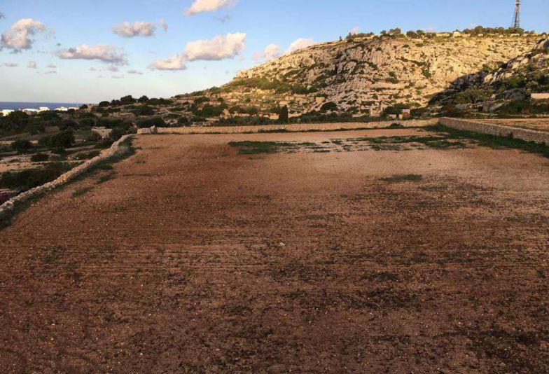 71 applications for Gozo sheep farms since 2015 - Newsbook
