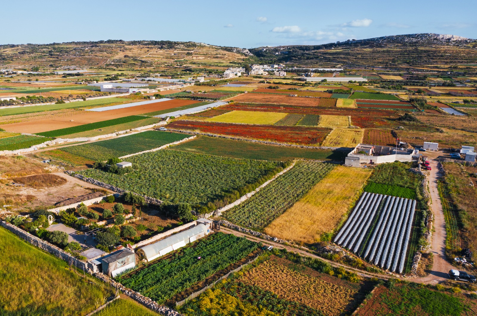 Water – be the change supports Malta’s first-ever agricultural expo ...