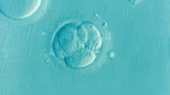 Government to widen genetic testing for embryos in IVF reform, Abela ...