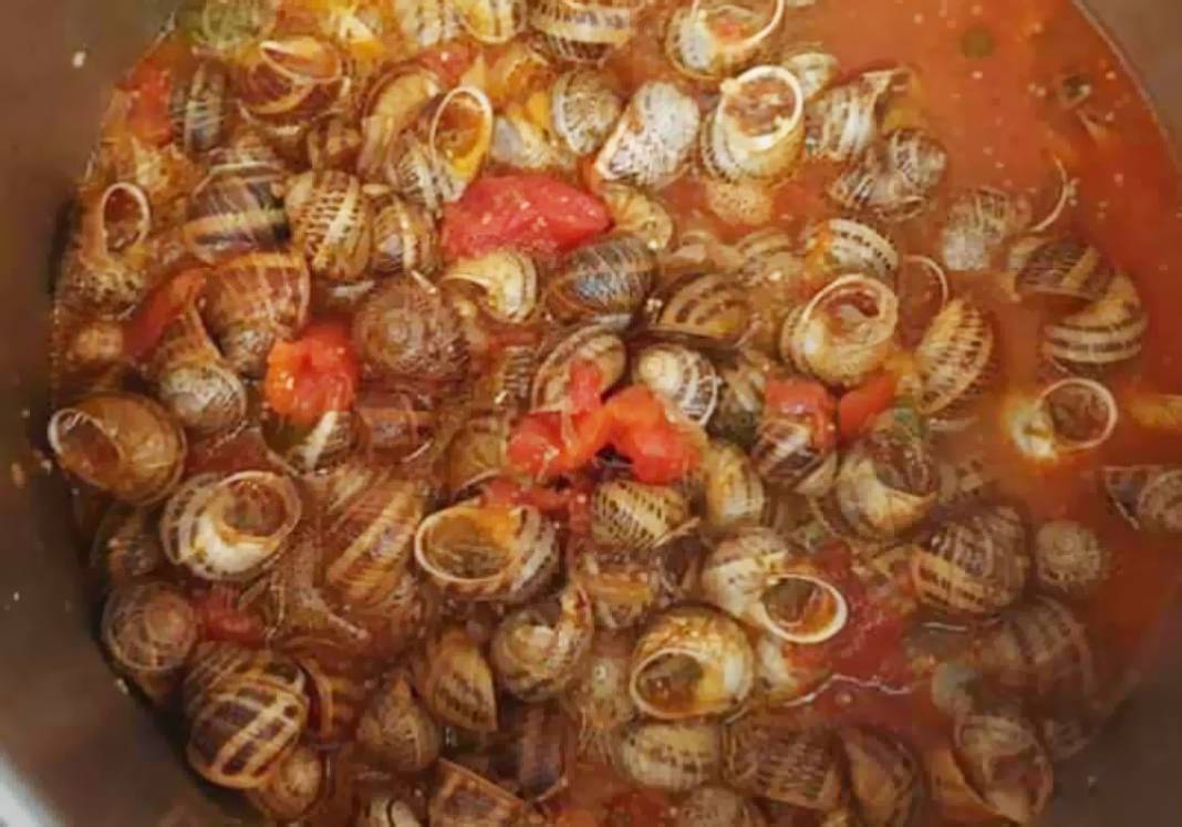 Bebbux biz-zalza u l-birra - Newsbook