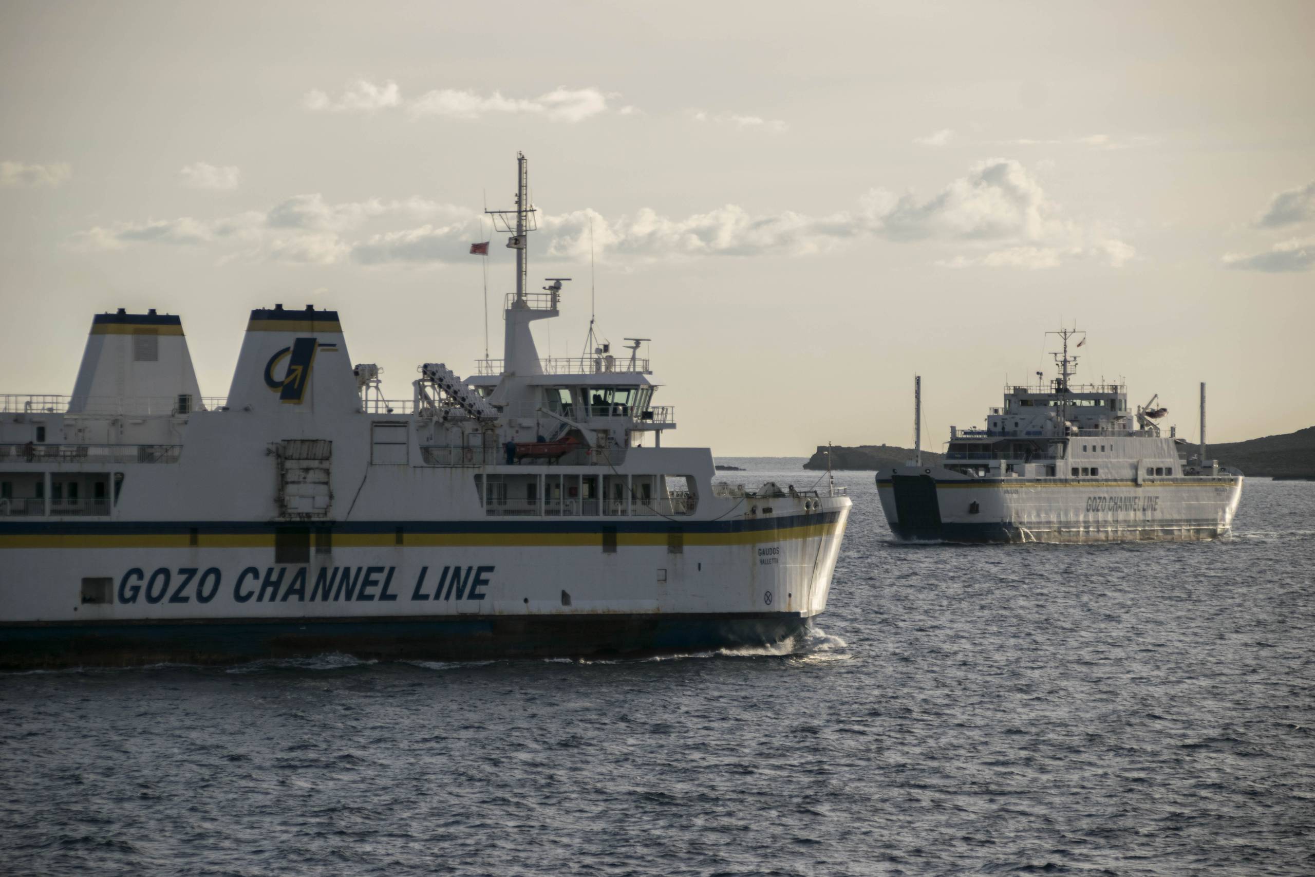 L-annimali fuq il-Gozo Channel ma jistgħux jinżammu fil-kafetterija ...