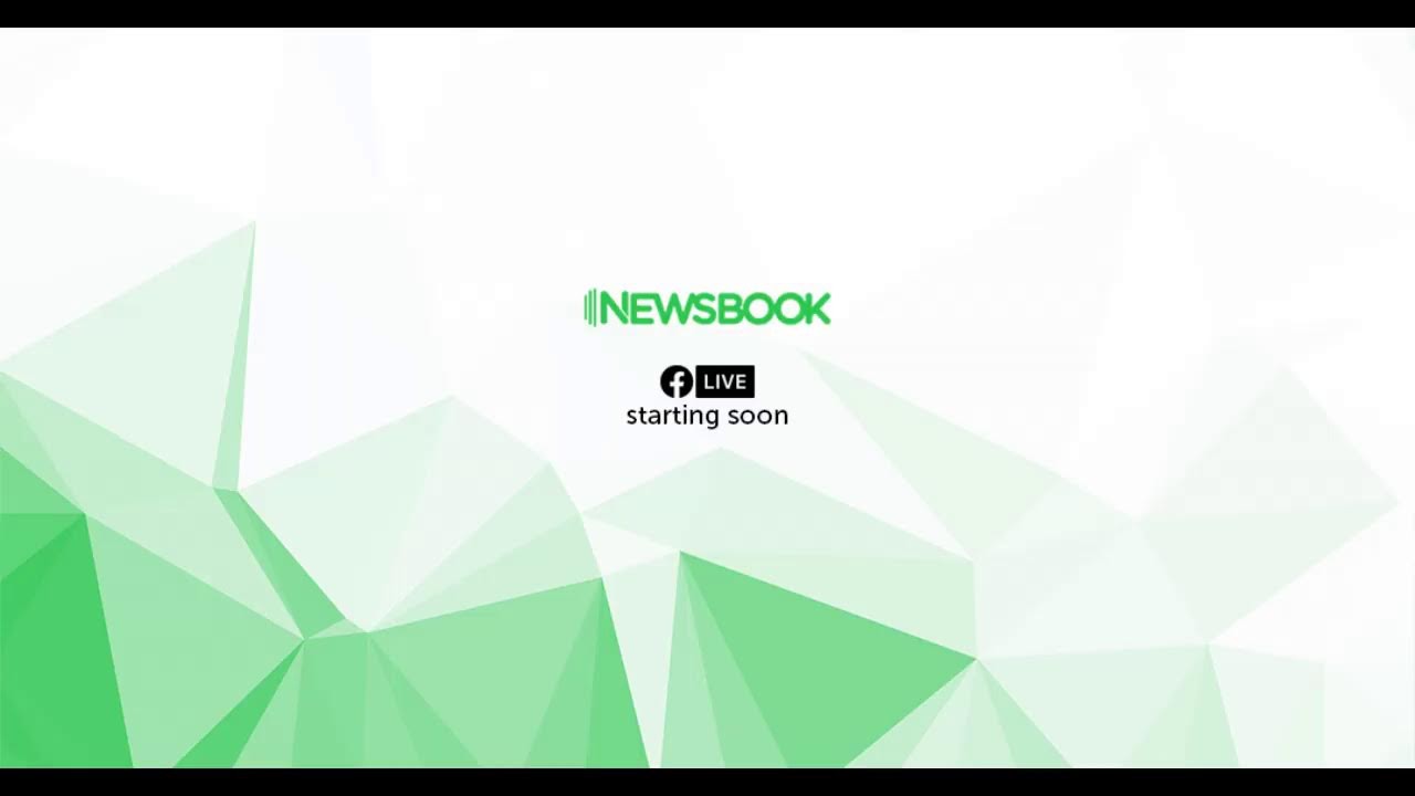 Ray Fenech admonished for presenting incomplete Electrogas minutes to PAC