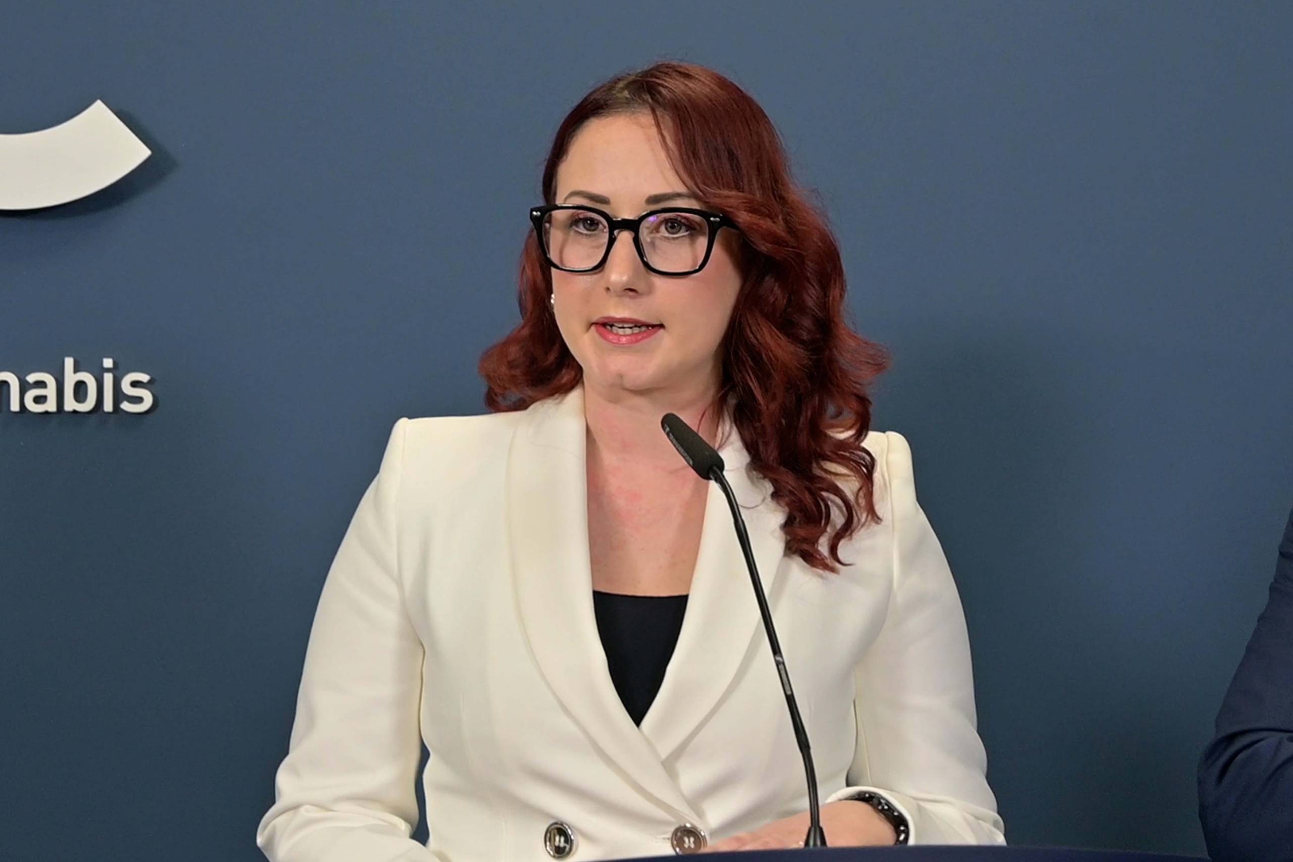 Grech ċeda għall-pressjoni ta’ Fenech Adami biex jaħtar shadow cabinet ...