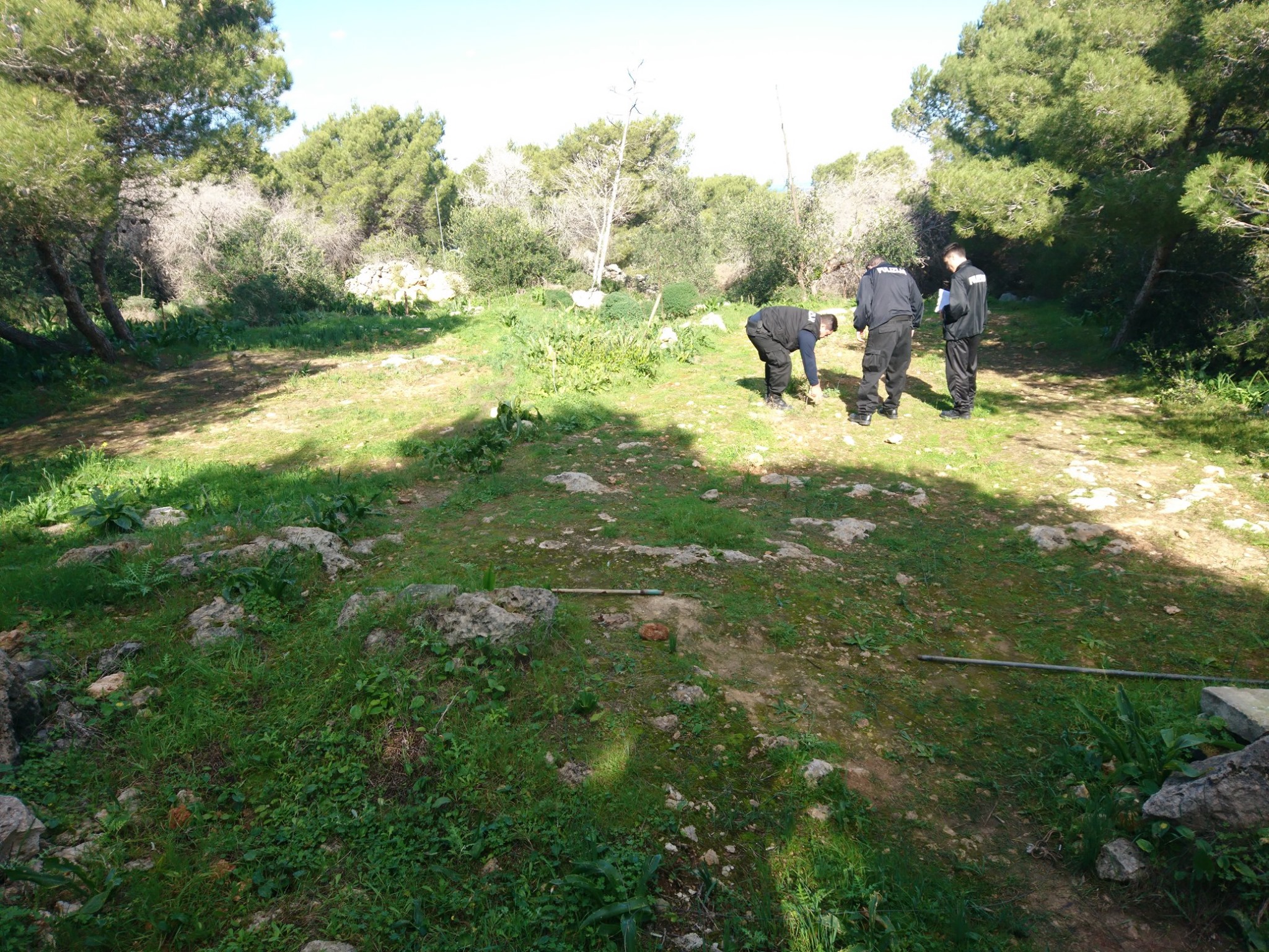 Jingħalaq l-istaġun għall-insib tal-Ħarifa 2022; tintlaħaq il-kwota tal ...