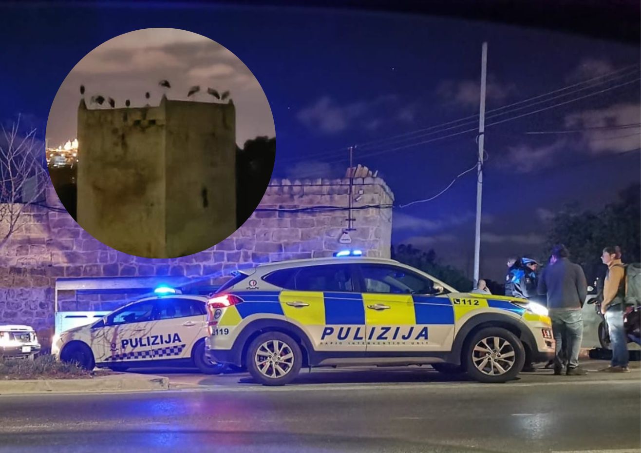 Protected storks gunned down by hunters over Żabbar