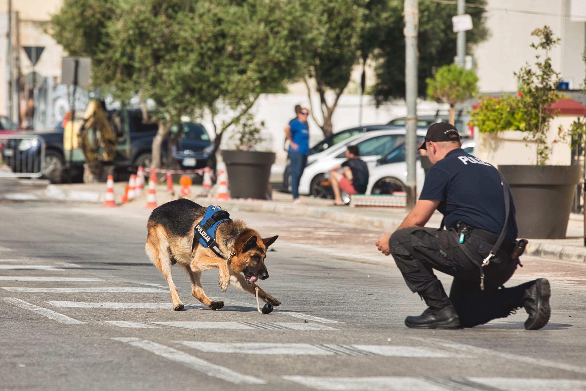 Imut Rex, eks kelb tal-Pulizija - Newsbook