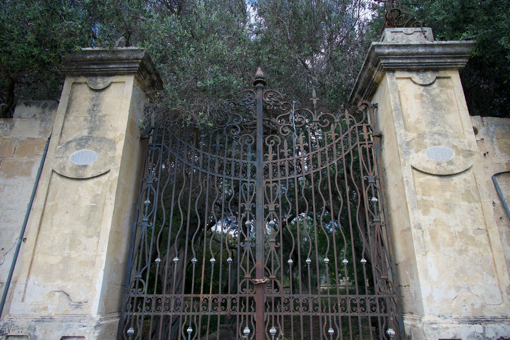'Villa Buleben tista' tkun Sant'Anton ieħor' - Sindku ta' Ħaż-Żebbuġ ...