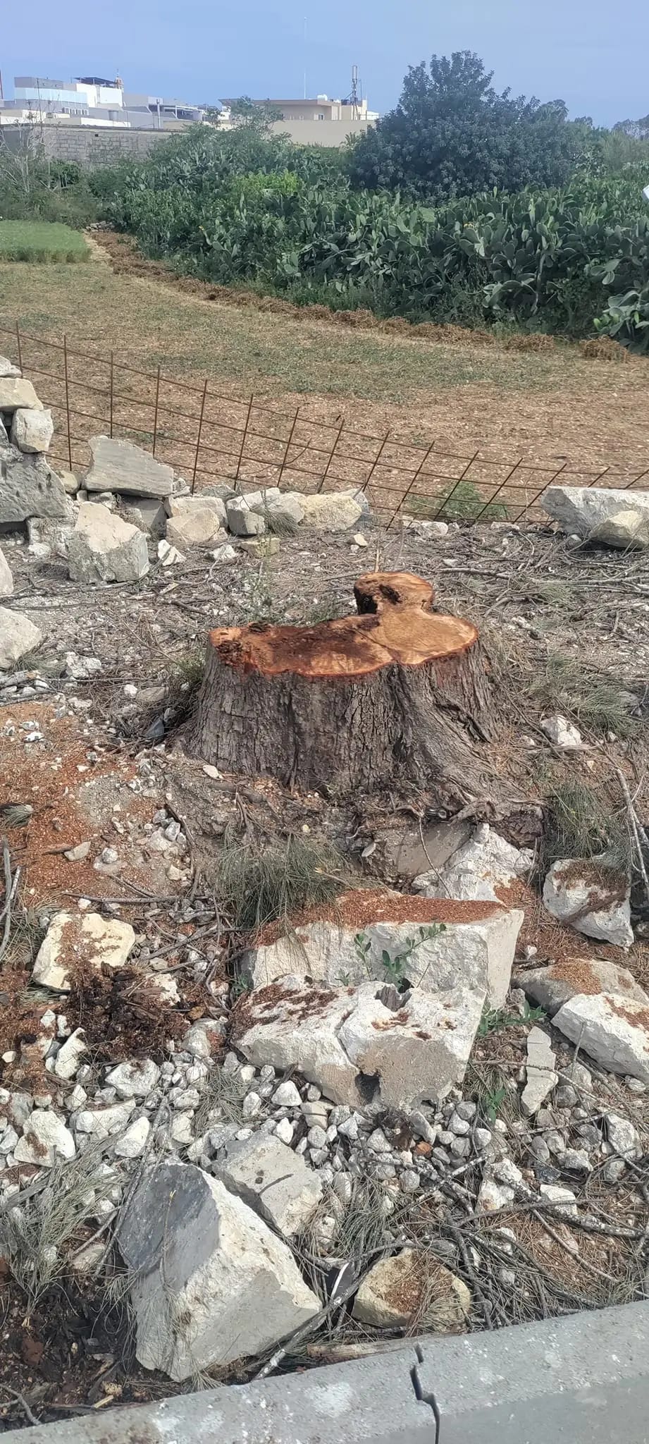 Ix-xogħol fi Triq il-Kunsill tal-Ewropa mistenni jitlesta sa Awwissu ...