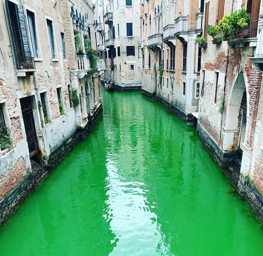 Venice Grand Canal goes green; authorities asked to test the waters ...