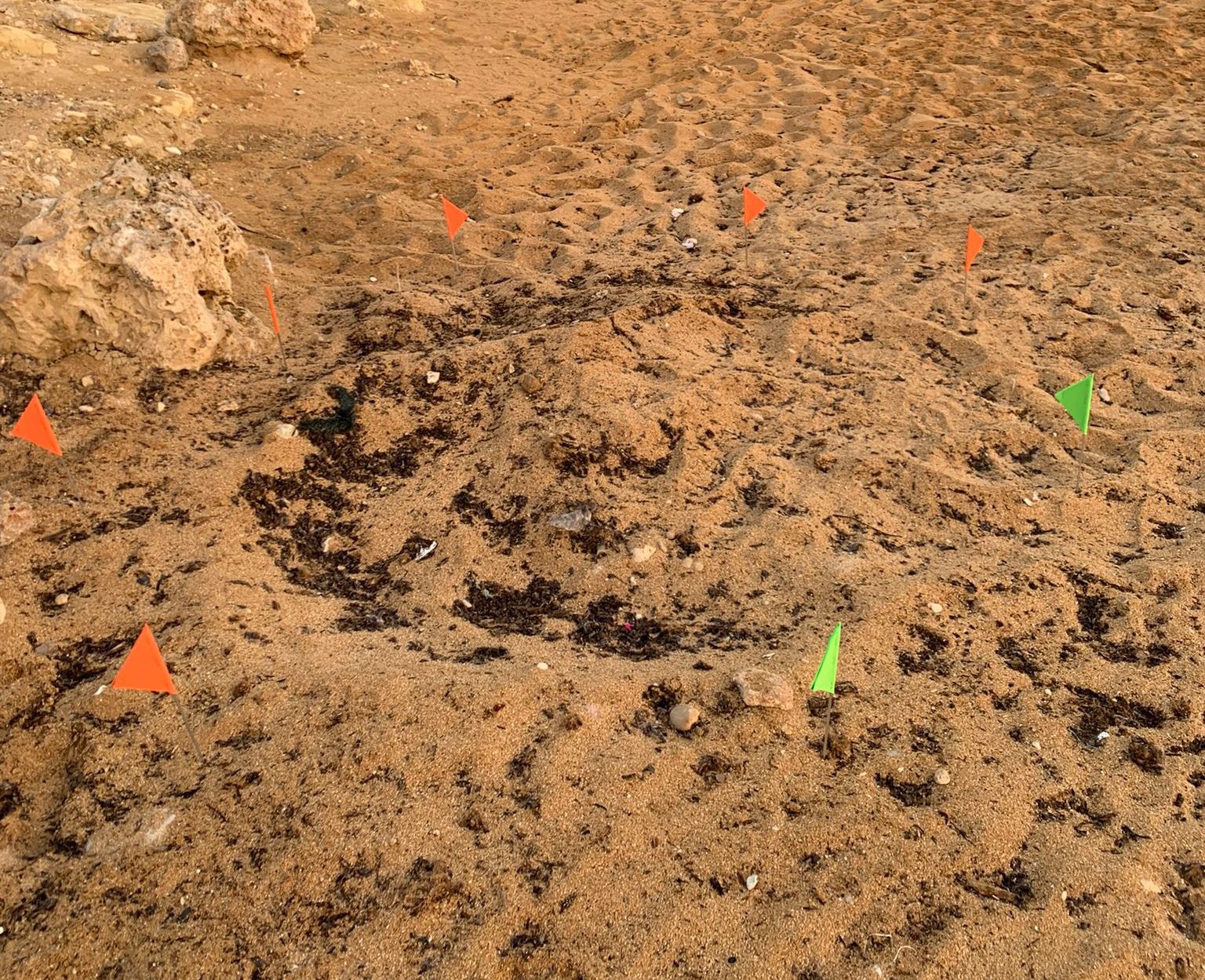 Fekruna oħra tbid fil-bajja tal-Ġnejna