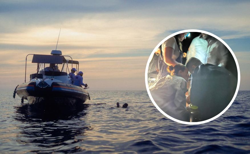 Neil Agius forced to abandon '100-Mile Swim' due to multiple jellyfish ...