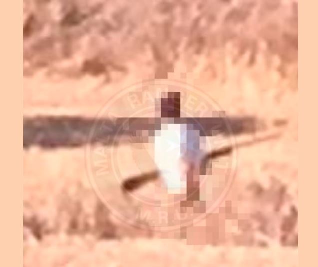 Jinqabad jispara u joqtol għasfur fl-istaġun tal-kaċċa tal-fniek