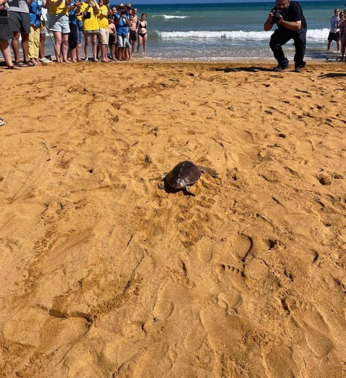 Ritratti: Il-fekruna Claudette tinħeles f'Għawdex - Newsbook