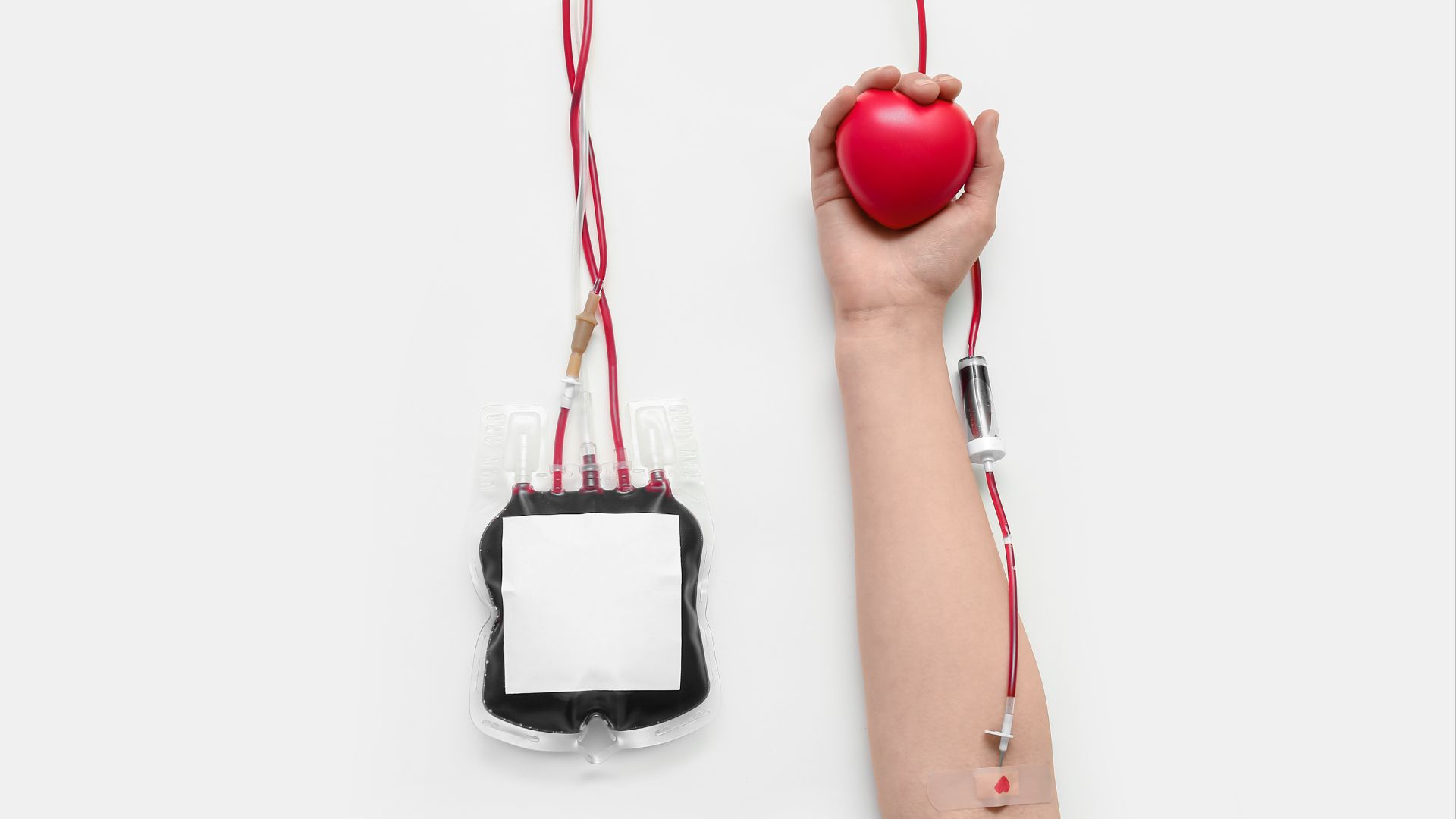 Rispons sostanzjali għas-sejħa tad-demm fi tmiem il-ġimgħa li għaddiet