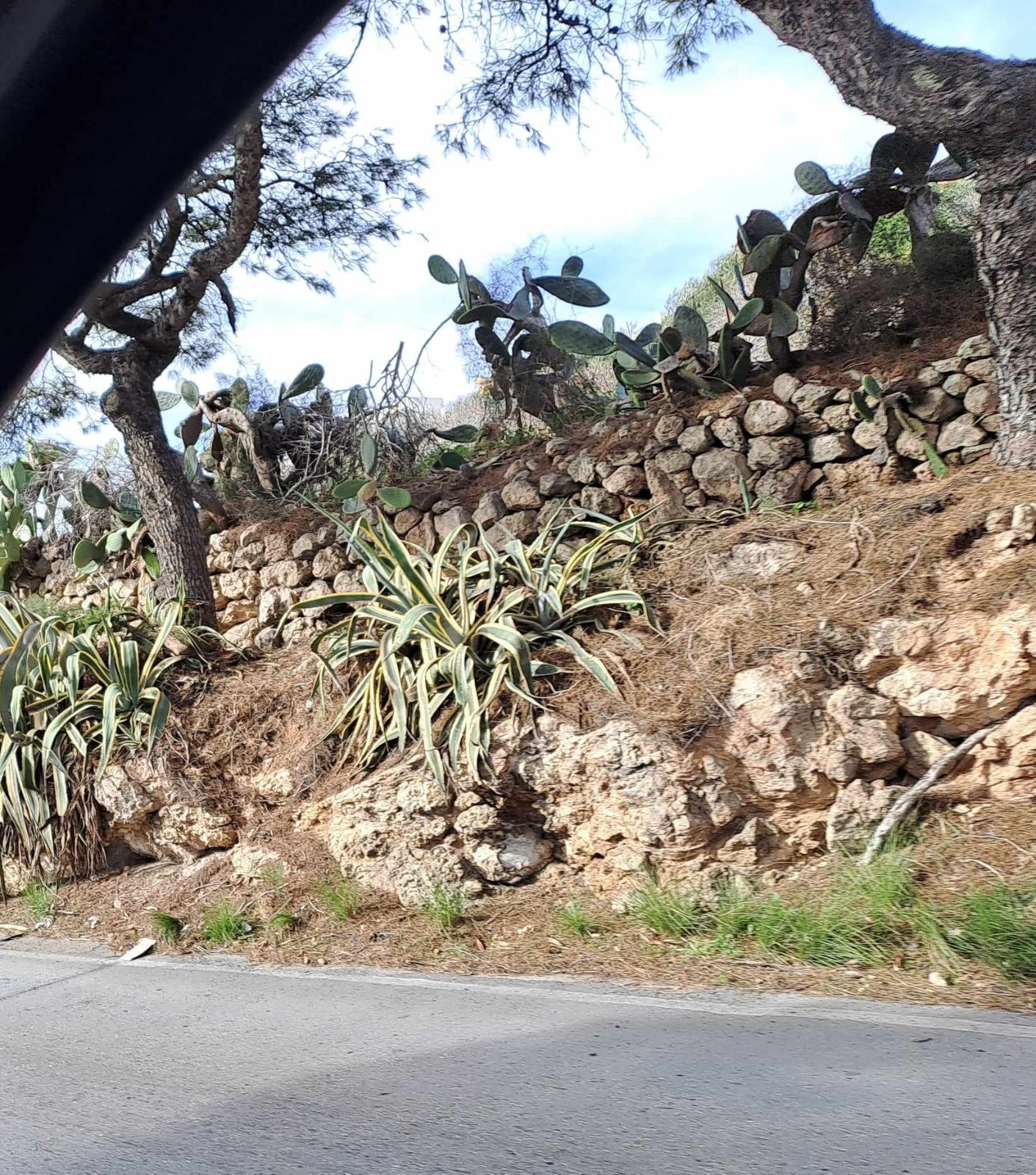 Motorcyclist skids after rocks collapse at Selmun Hill