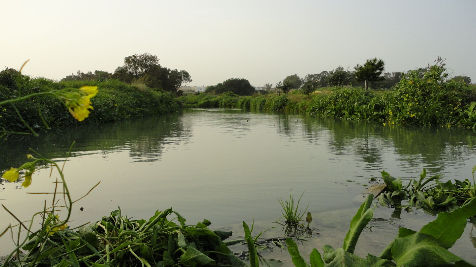 Wied Inċita se jinfetaħ għall-pubbliku bħala spazju miftuħ