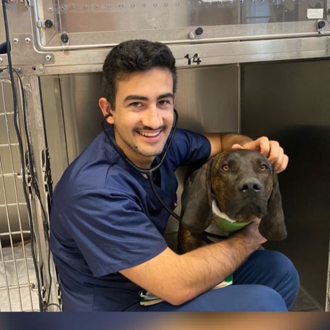 If only they could talk