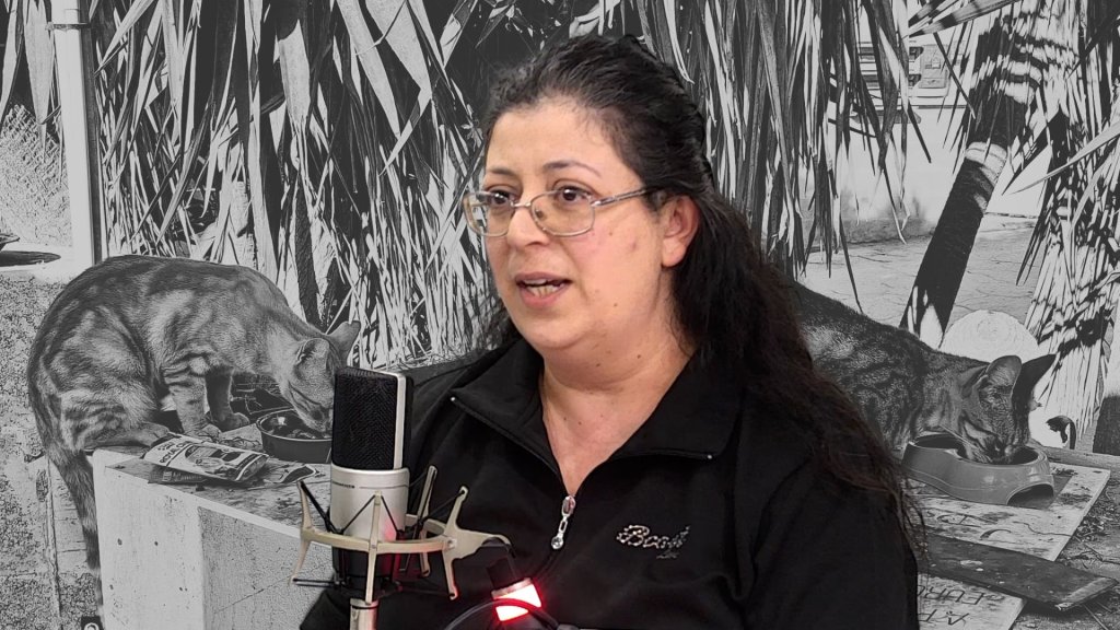 "Missejt il-qiegħ biex insalva l-qtates tat-triq"