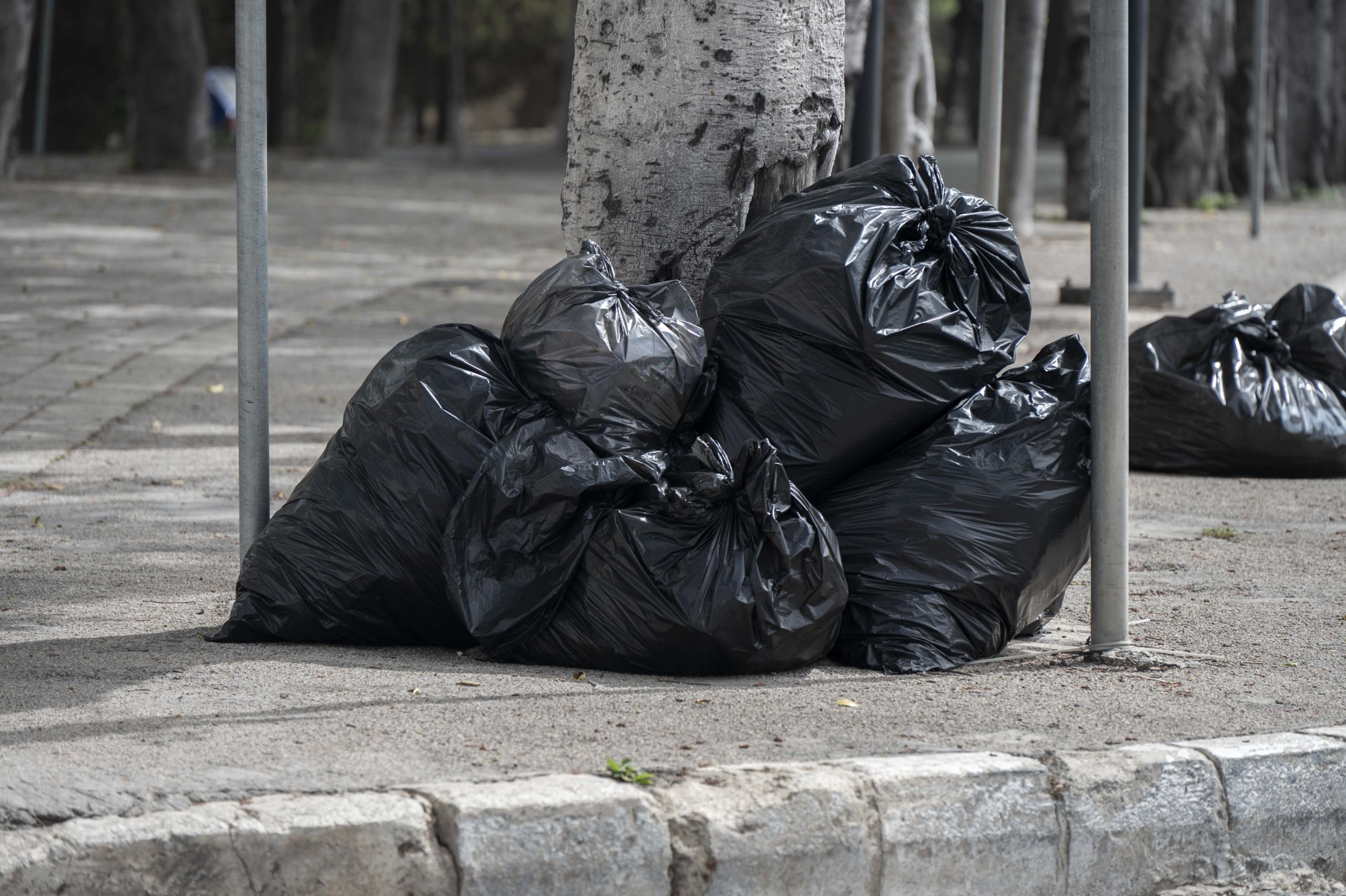Gozo launches Malta's first app for streetlight and waste collection ...