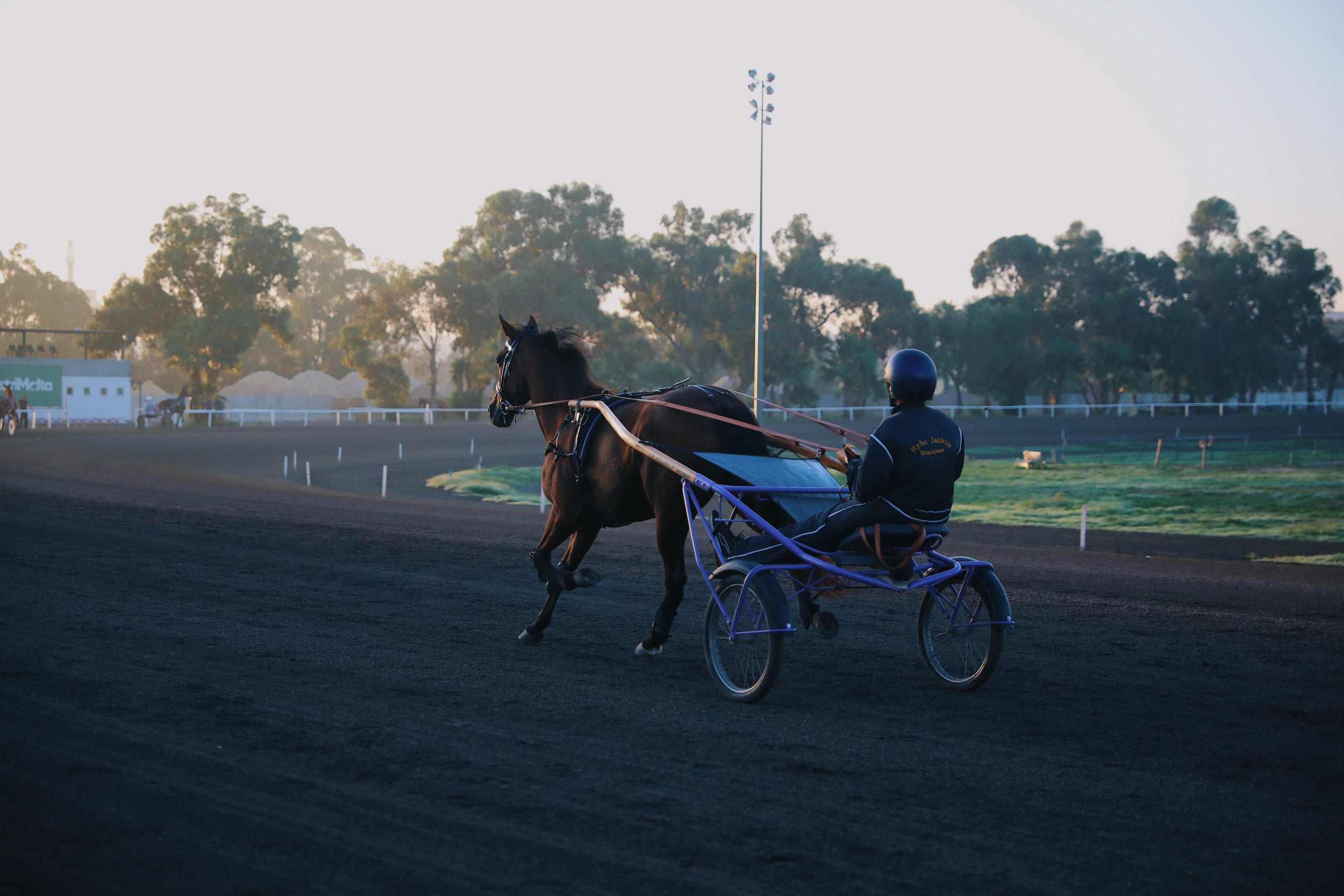 Is-sewwieqa tat-trott se jingħataw allowance għal kull tiġrija - Newsbook
