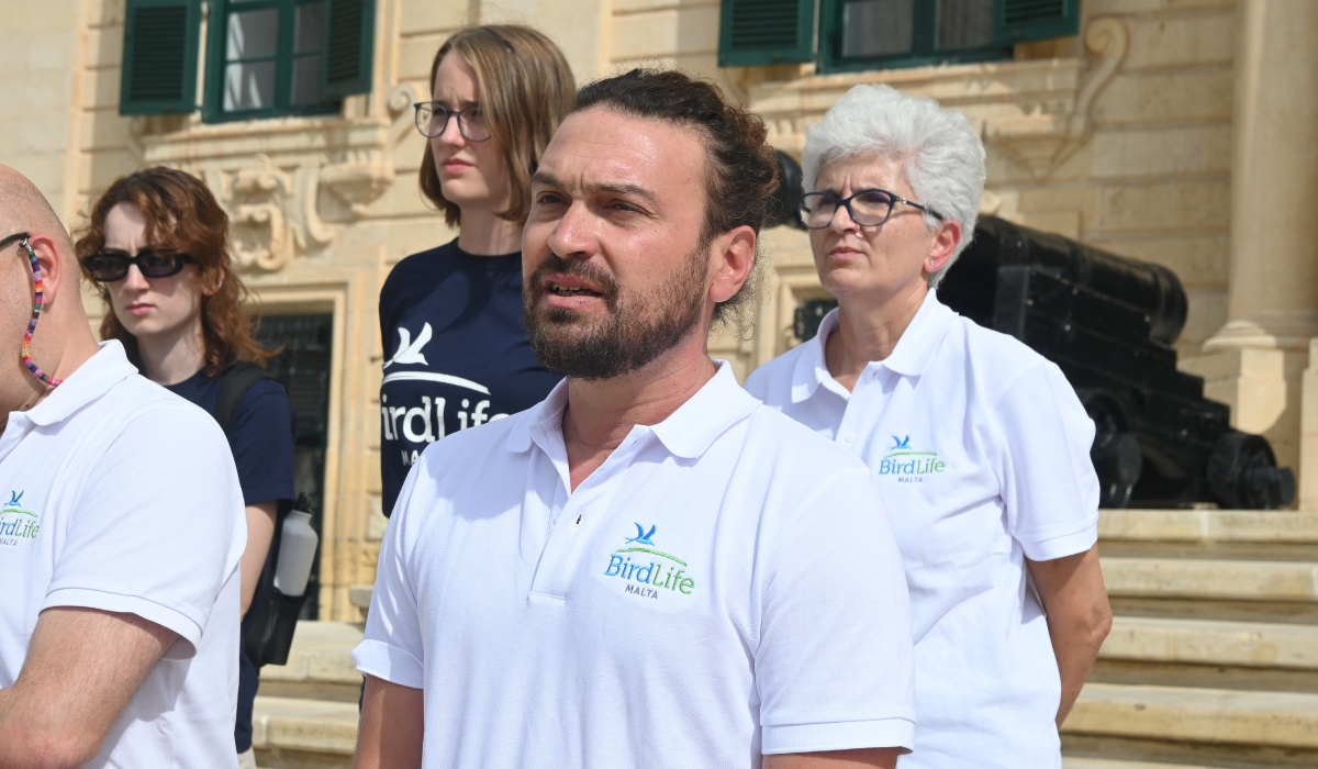 Il-BirdLife titlob l-UE tintervjeni biex tagħlaq l-istaġun tal-insib ...