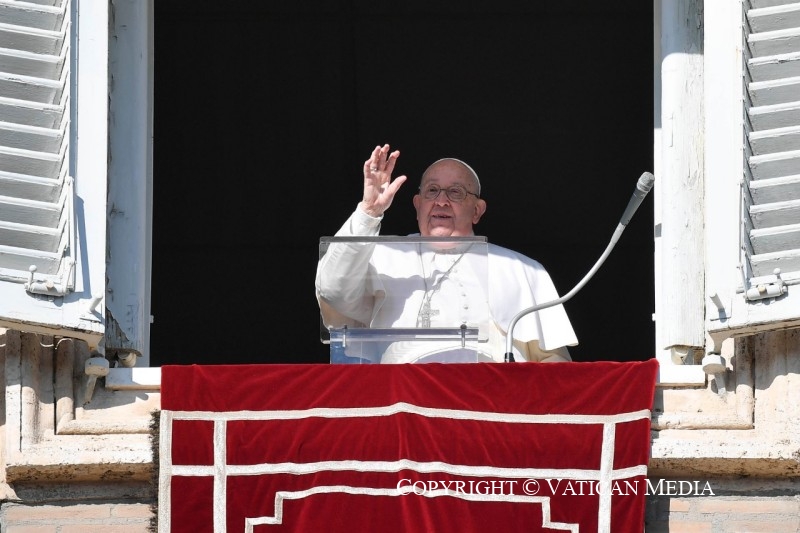 Pope Francis injures arm in fall - Newsbook